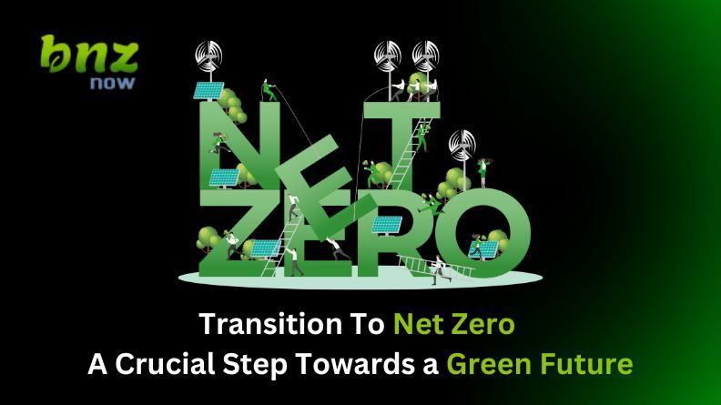 Transition To Net Zero: A Crucial Step Towards A Green Future